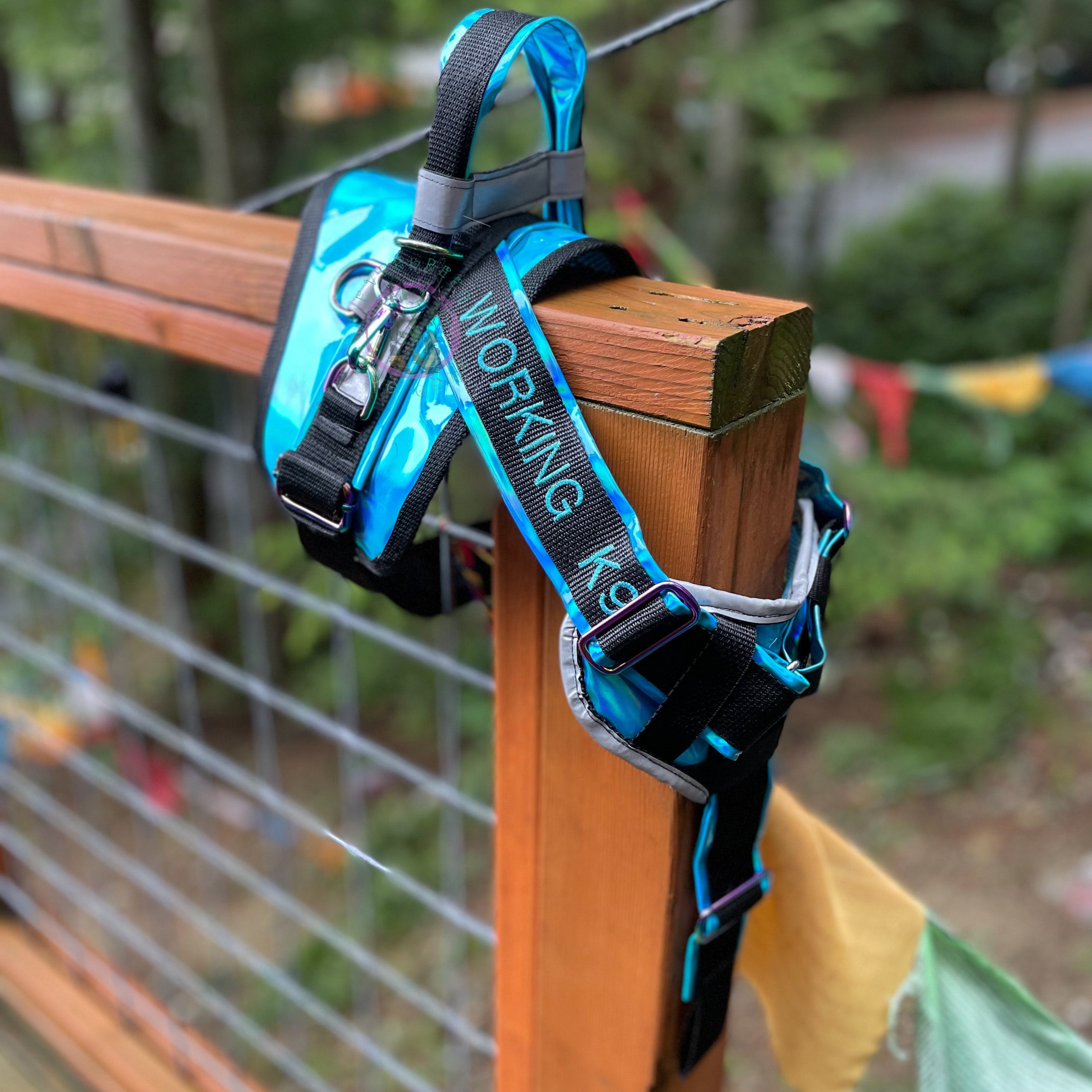 U-Pick Hybrid Holo Harness | Evergreen Dog Gear