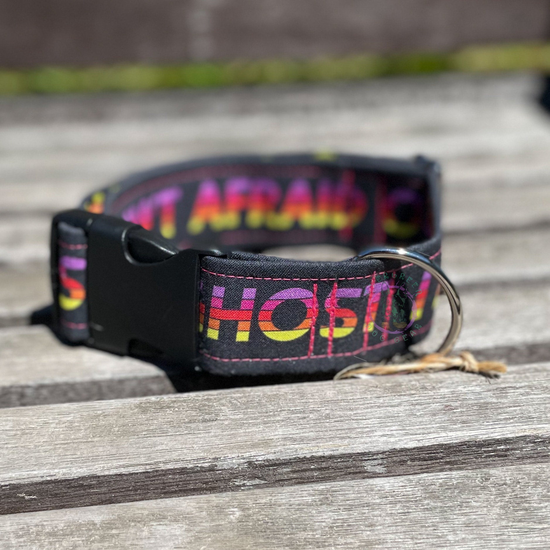 Busting Ghosts Collar - PREMADE | Evergreen Dog Gear